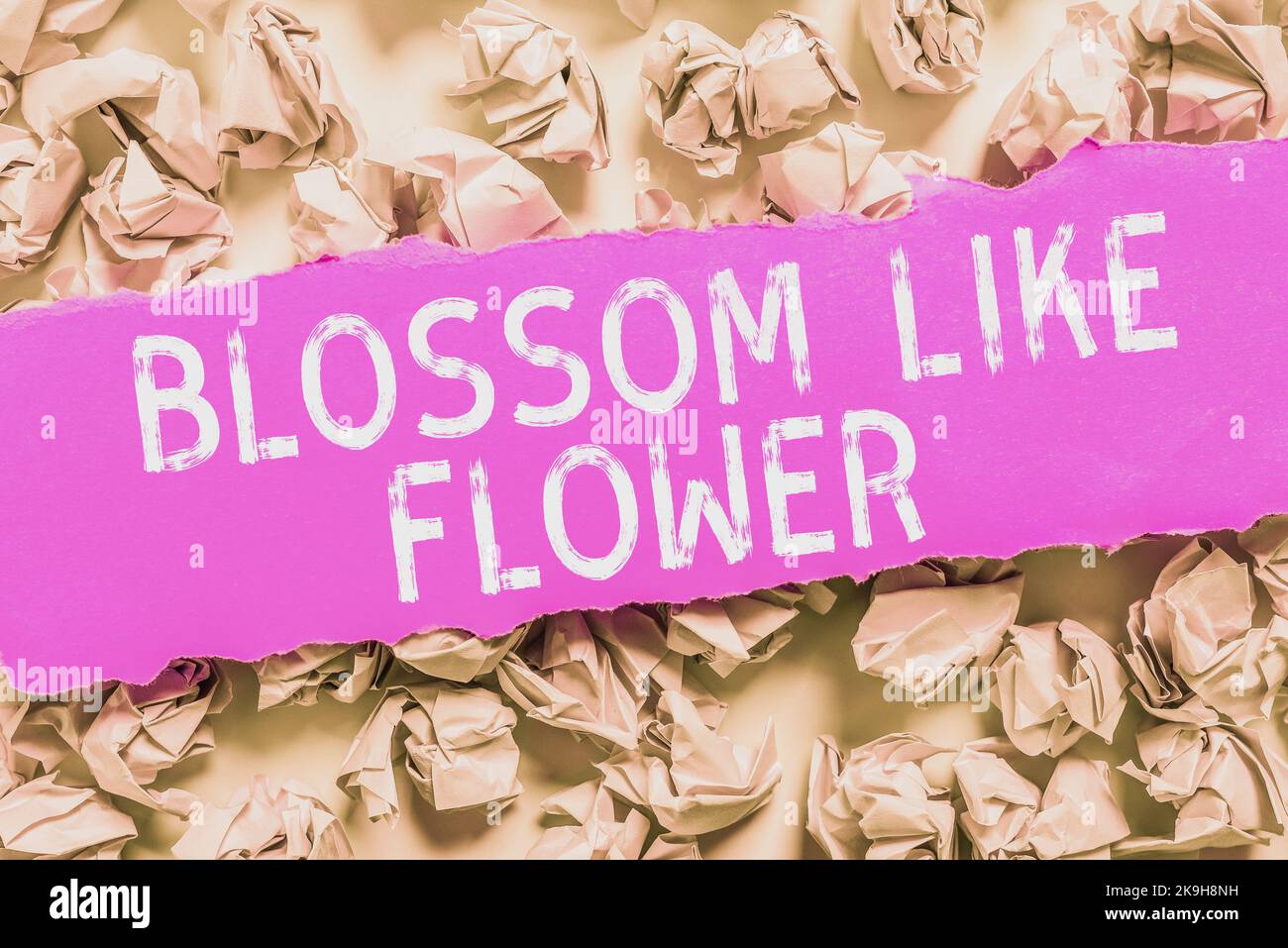 Hand writing sign Blossom Like Flower. Word Written on person with good ...