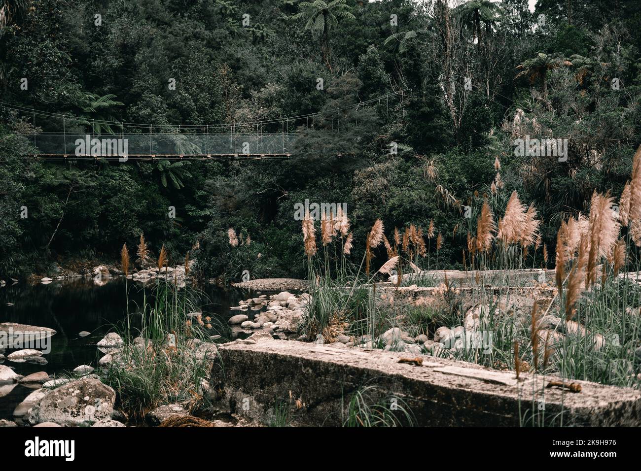 calm river with little flow and no current with many stones and rocks ...