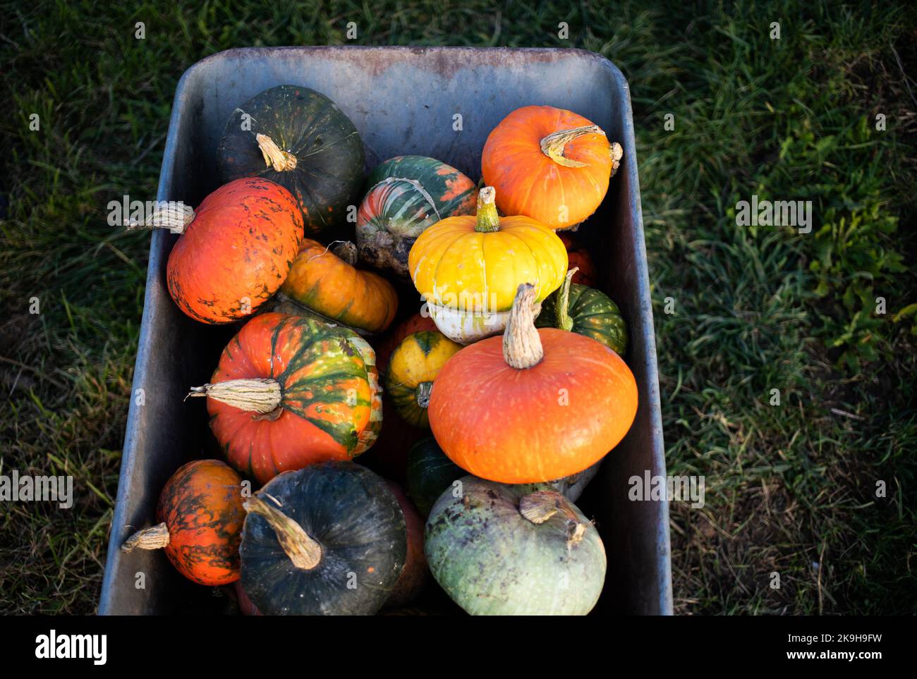 Old dray autumn hi-res stock photography and images - Alamy