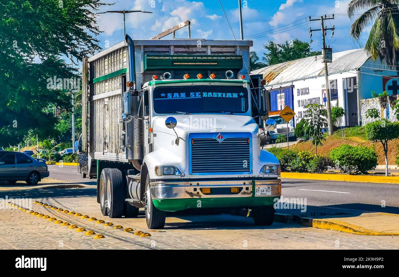 Various Mexican trucks cargo transporter delivery cars in Puerto ...