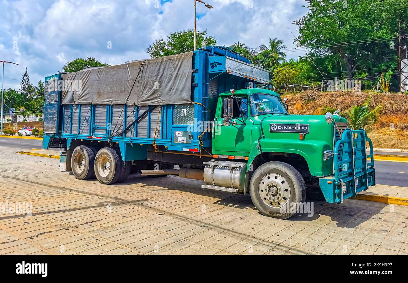 Various Mexican trucks cargo transporter delivery cars in Puerto ...