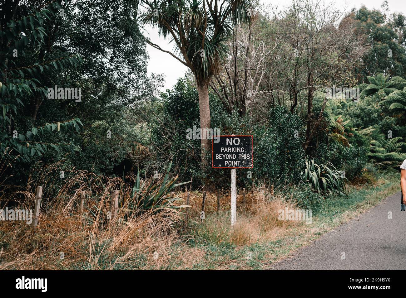 black sign with red border and large no parking lettering next to paved ...