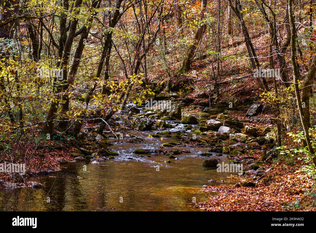 picture of a brook Stock Photo - Alamy