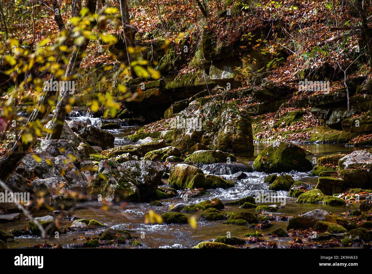 picture of a brook Stock Photo - Alamy