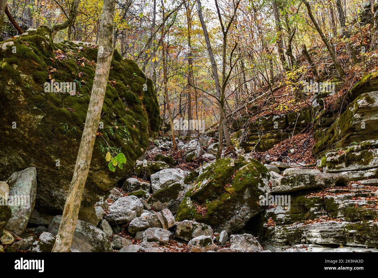 picture of a dried up river bed Stock Photo - Alamy