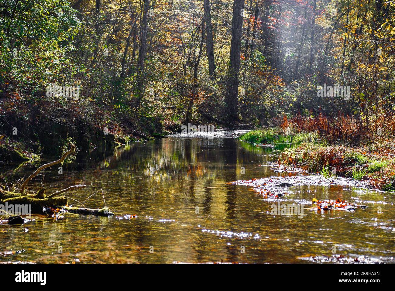 picture of a river Stock Photo - Alamy
