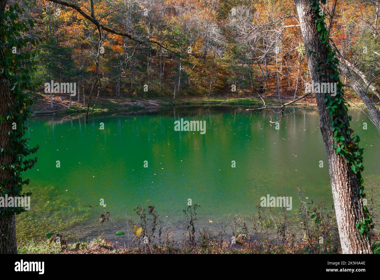 Picture of a river hi-res stock photography and images - Alamy