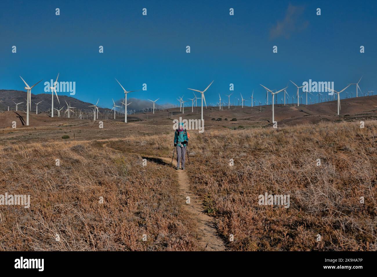 Hiking near windmills in the Mojave Desert, , Pacific Crest Trail ...