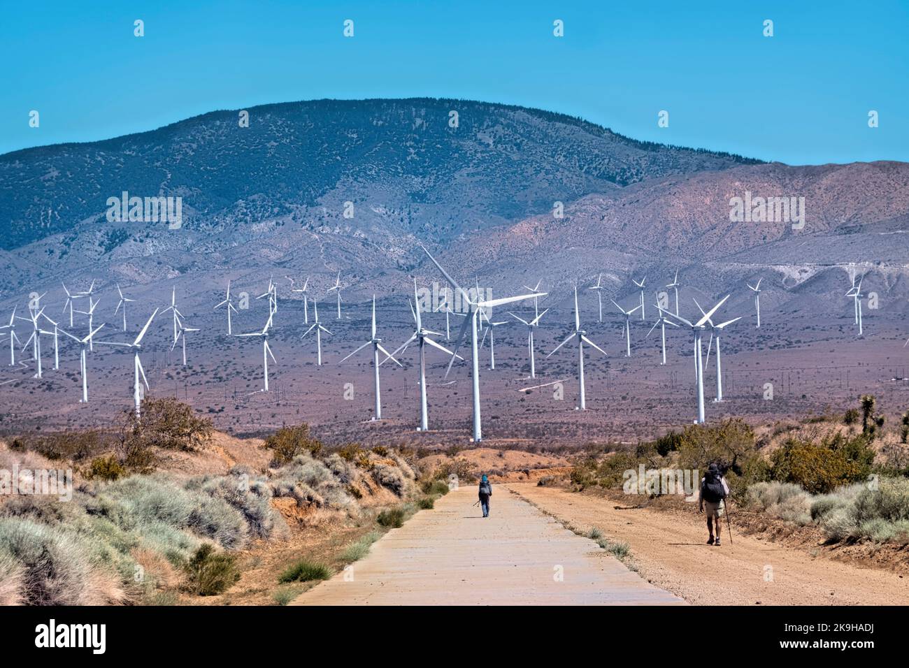 Hiking near windmills in the Mojave Desert, Pacific Crest Trail ...