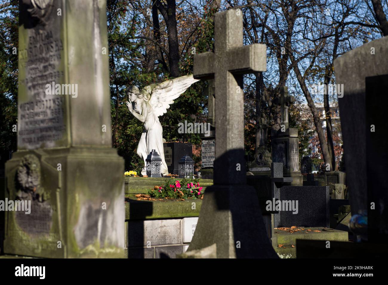 A sculpture of an angel seen among the graves at the historic Powazki ...
