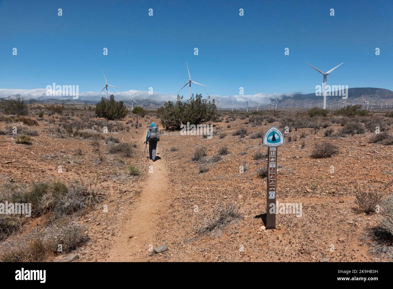 Hiking near windmills in the Mojave Desert, , Pacific Crest Trail ...