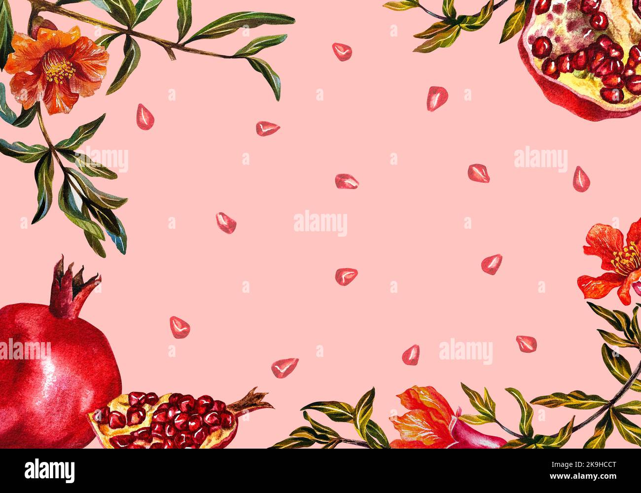 Pomegranate. Frame of pomegranate fruit on a branch, burst, cut ...