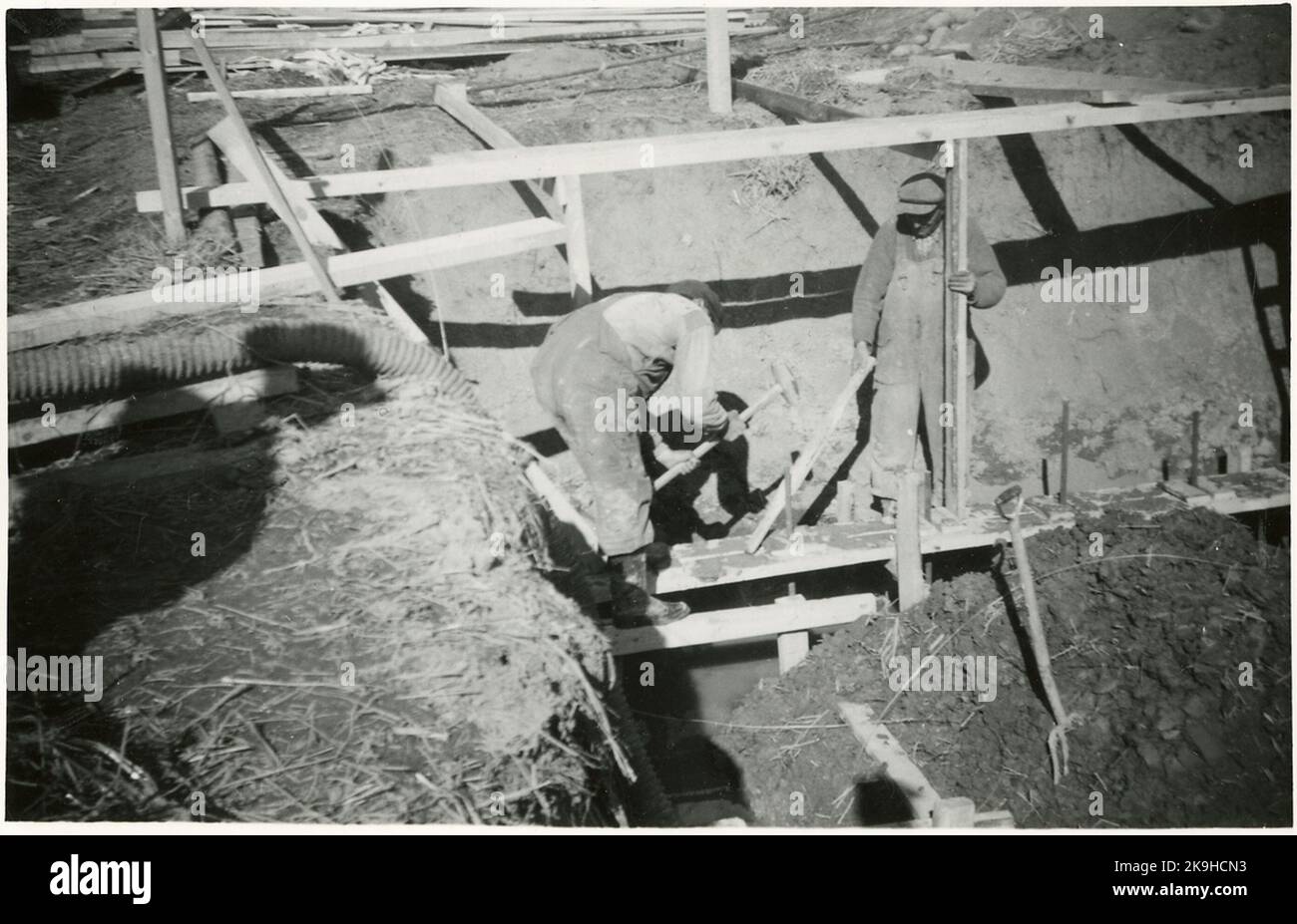 Piling with reinforcing iron Stock Photo - Alamy