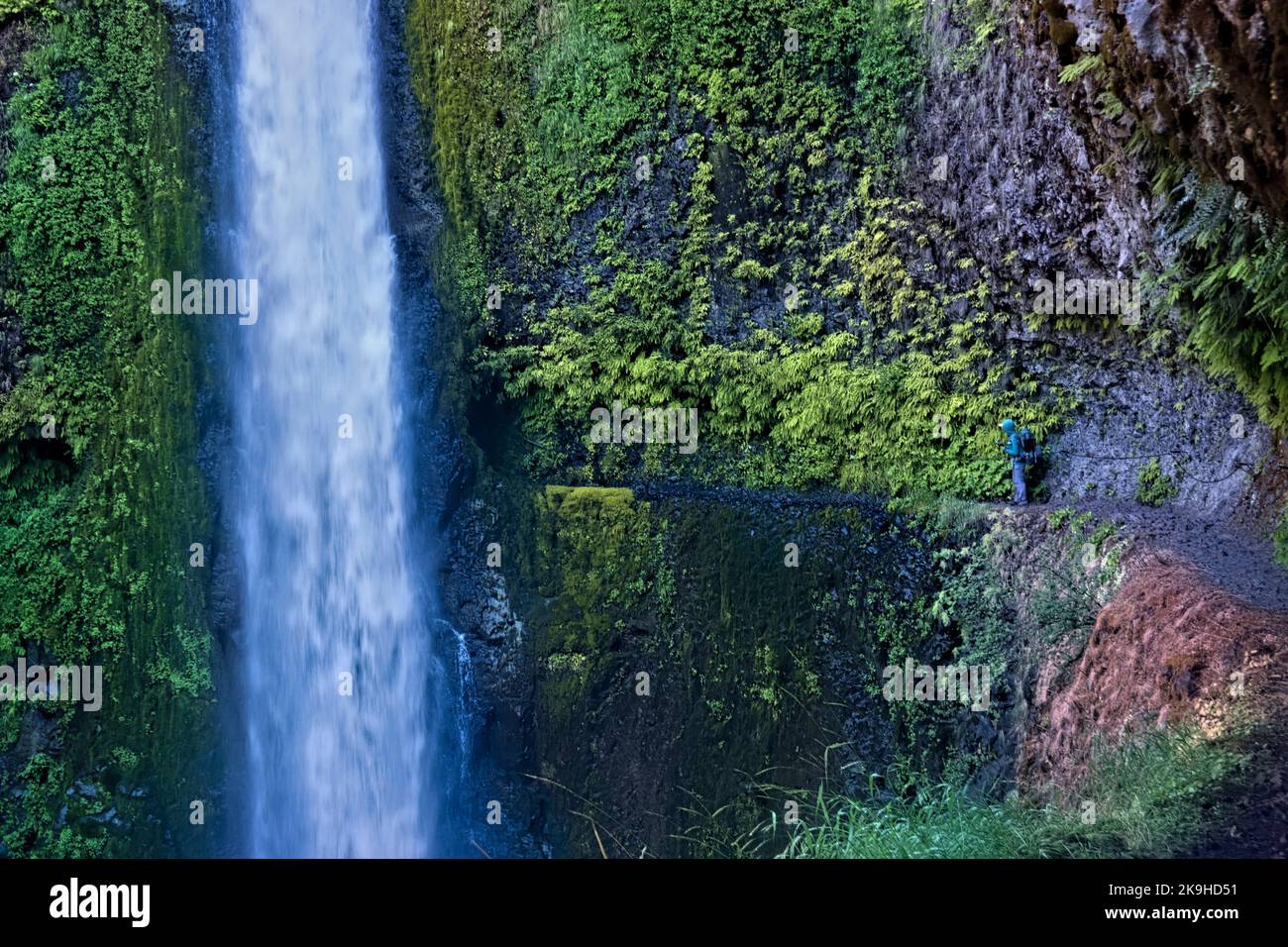 Approaching spectacular Tunnel Falls, Pacific Crest Trail, Oregon, USA ...