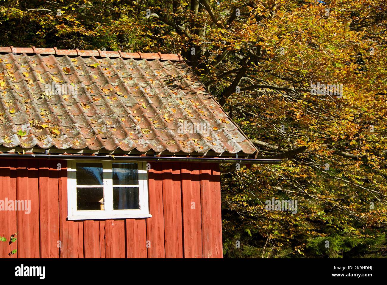 Red painted cottage house hi-res stock photography and images - Alamy