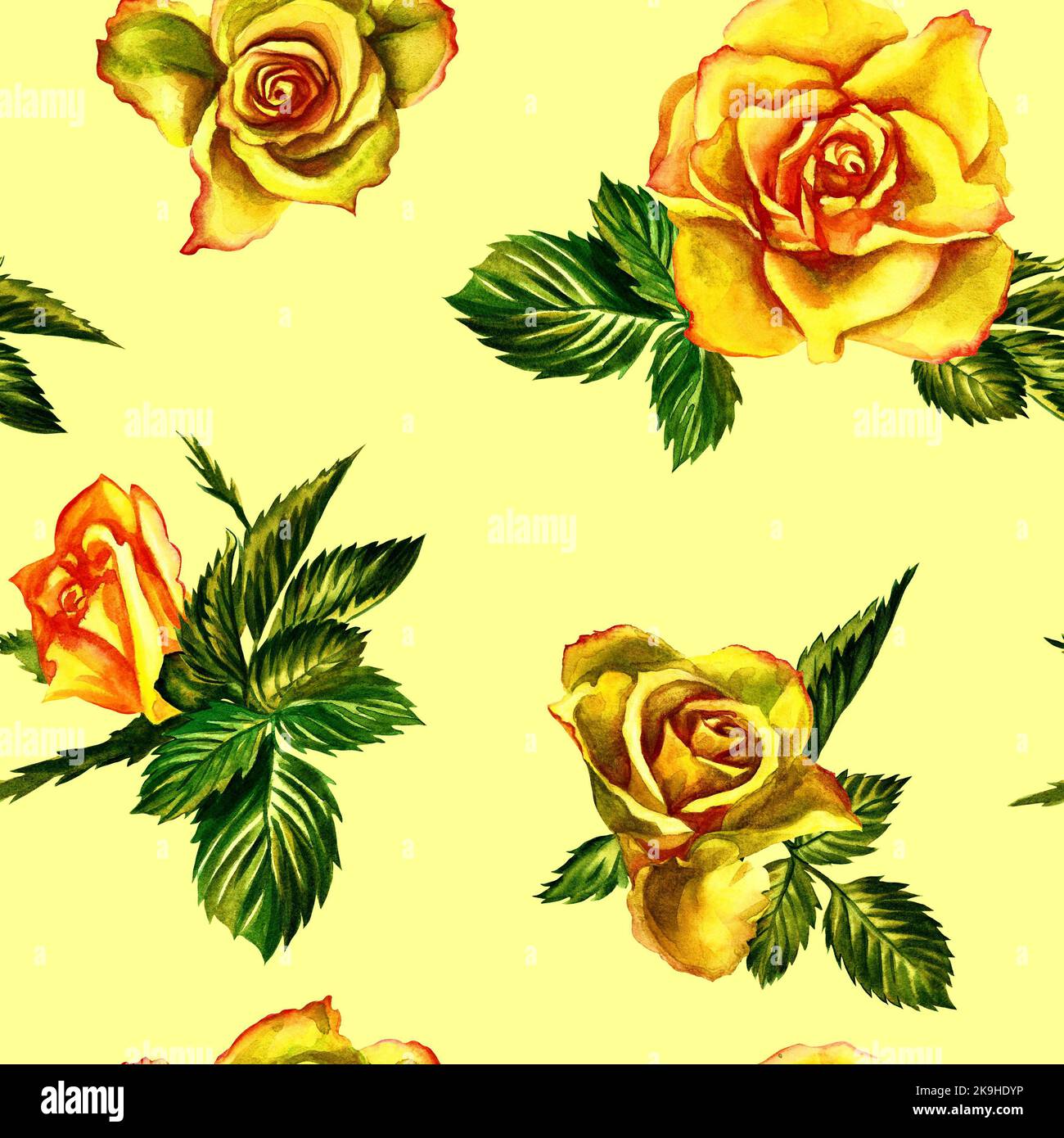 Floral pattern of roses on a yellow background. Watercolor seamless ...