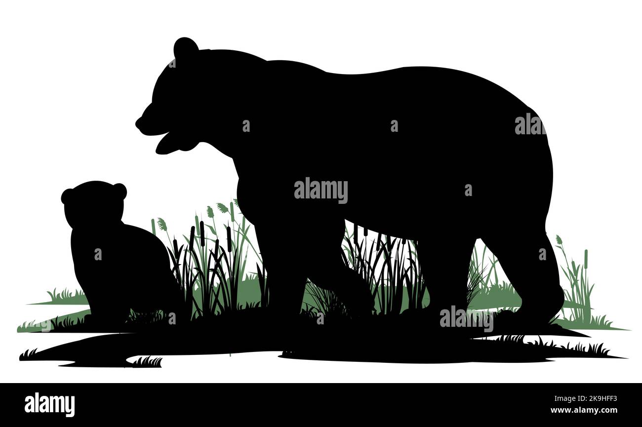 Mother bear with cub. Wild animals. Silhouette figures. Glade in swamp ...