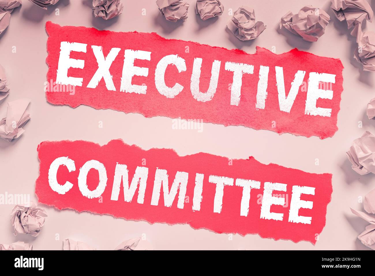Text caption presenting Executive Committee. Concept meaning Add ...