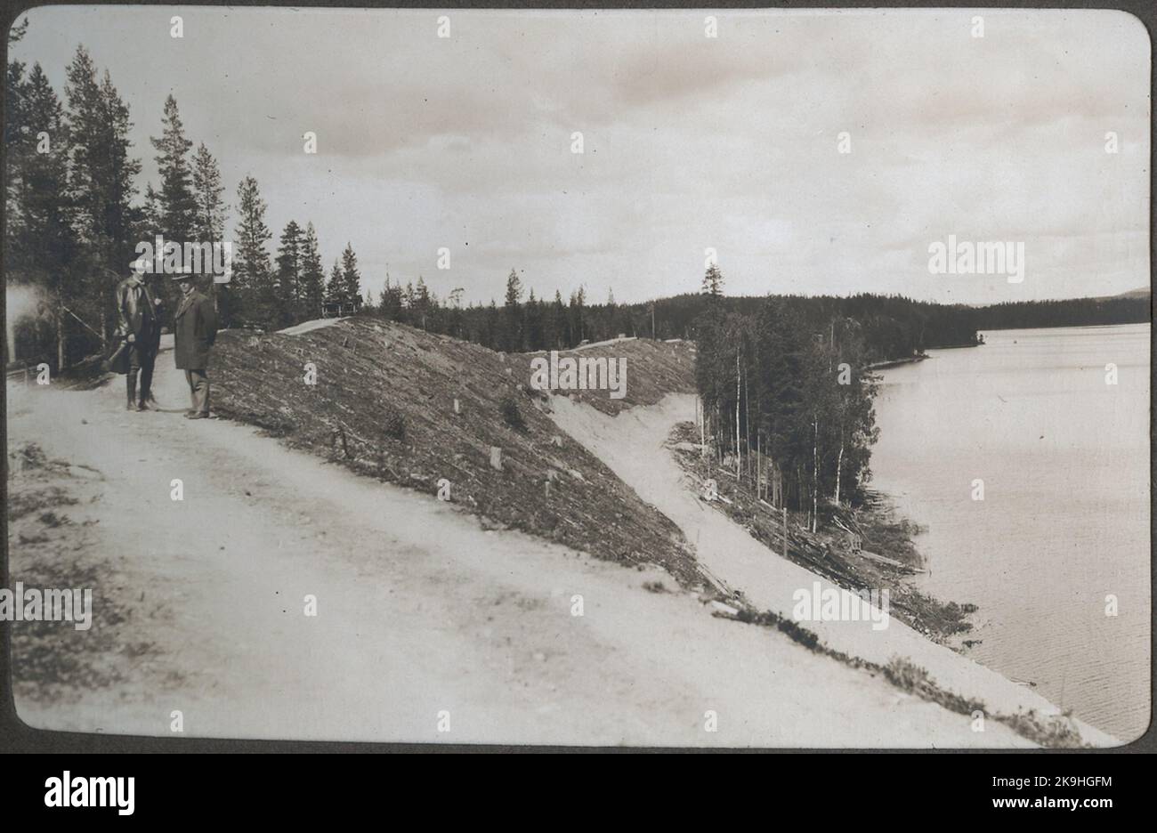 View of the cutting tree comb from the south Stock Photo - Alamy