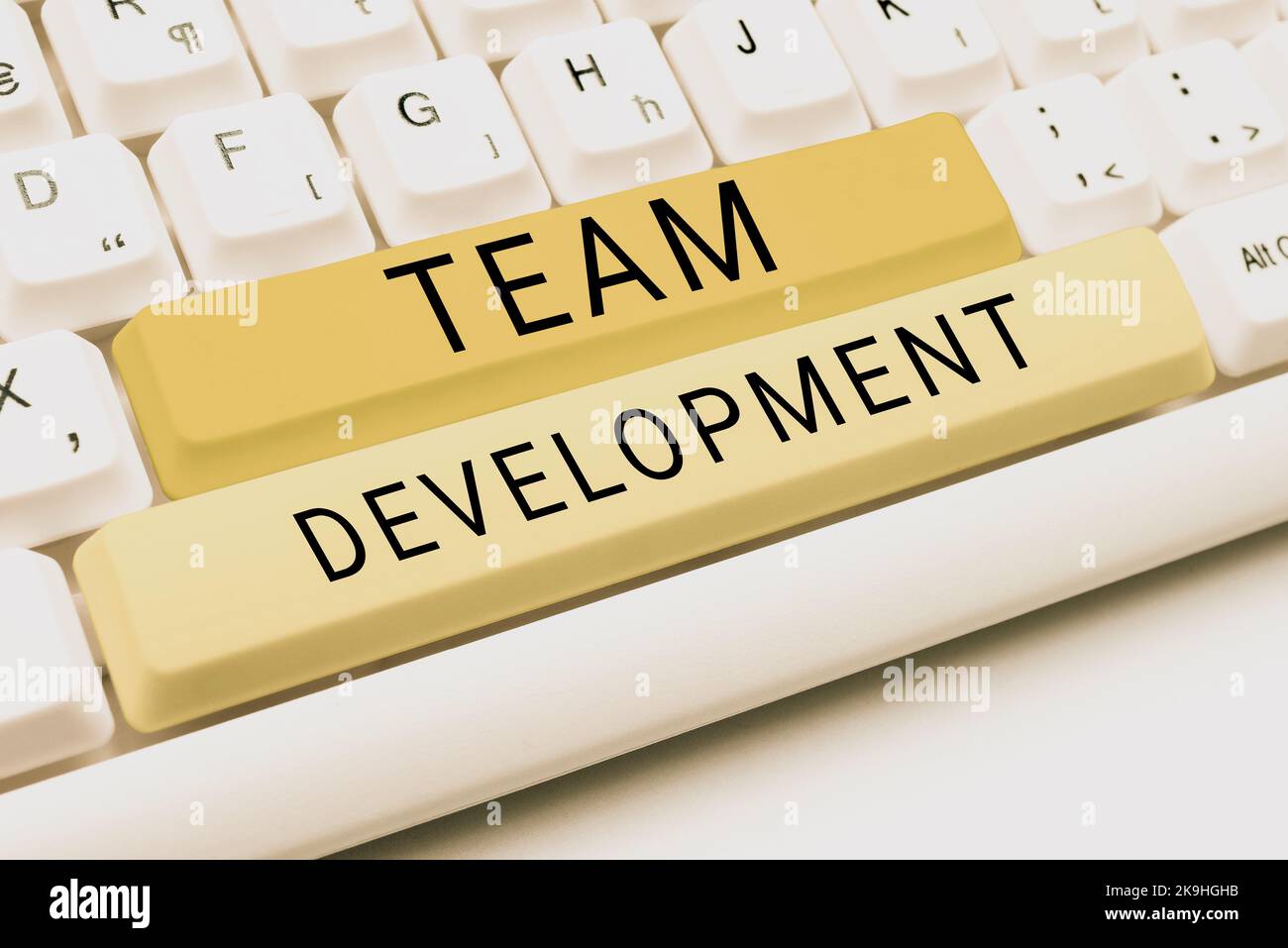 Text caption presenting Team Development. Business concept expressing ...