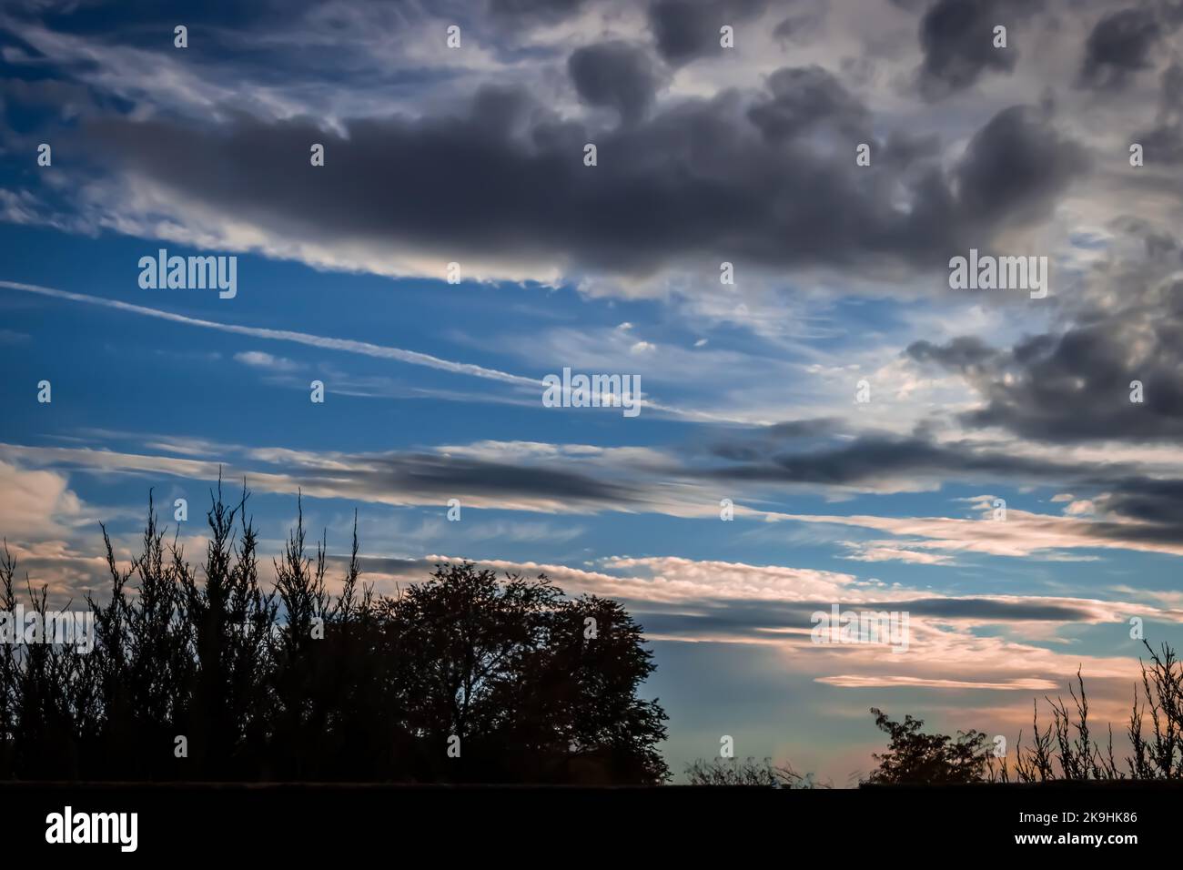 Evening sunset scene in the park Stock Photo - Alamy
