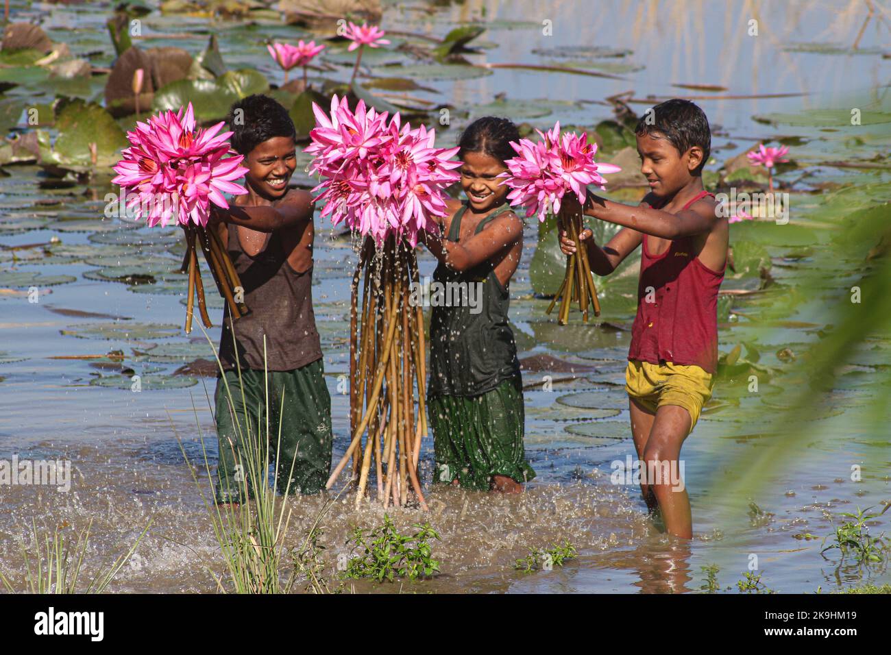 Sylhet, Bangladesh. 28th Oct, 2022. Rural Children collecting Red Water ...