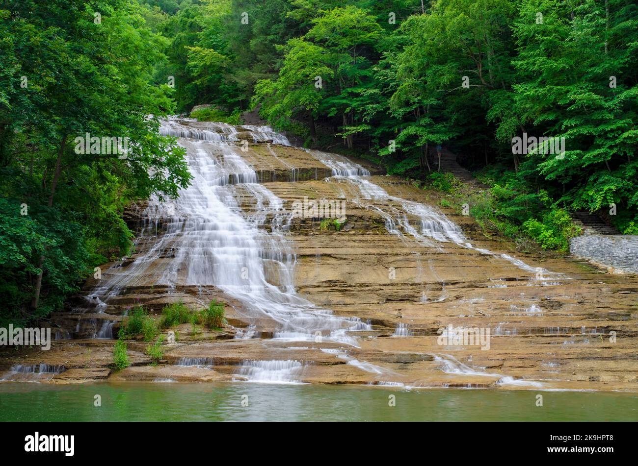 Enfield Falls on Enfield Creek cascades through a lush green forest ...
