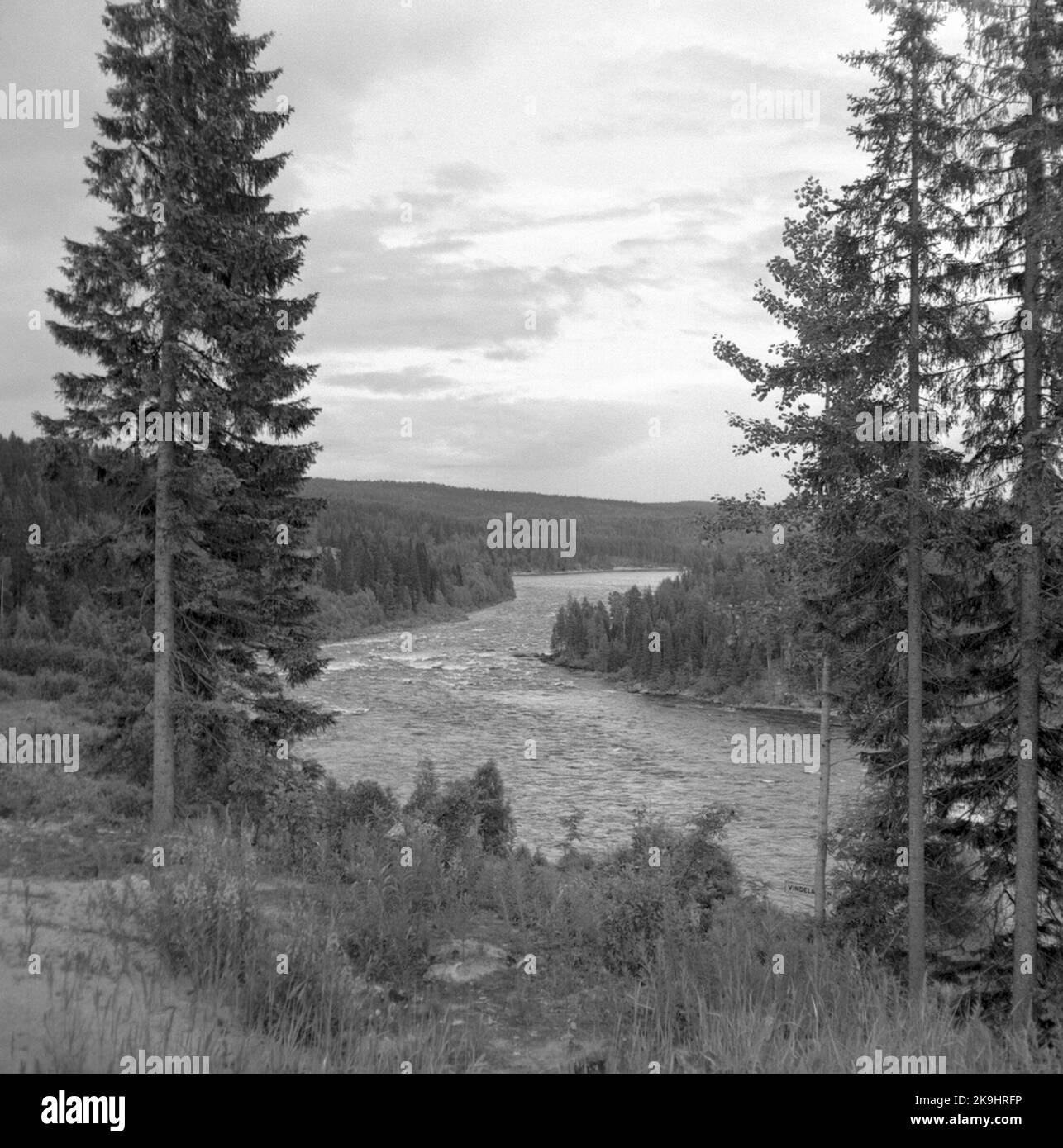 View of the Vindel River Stock Photo - Alamy