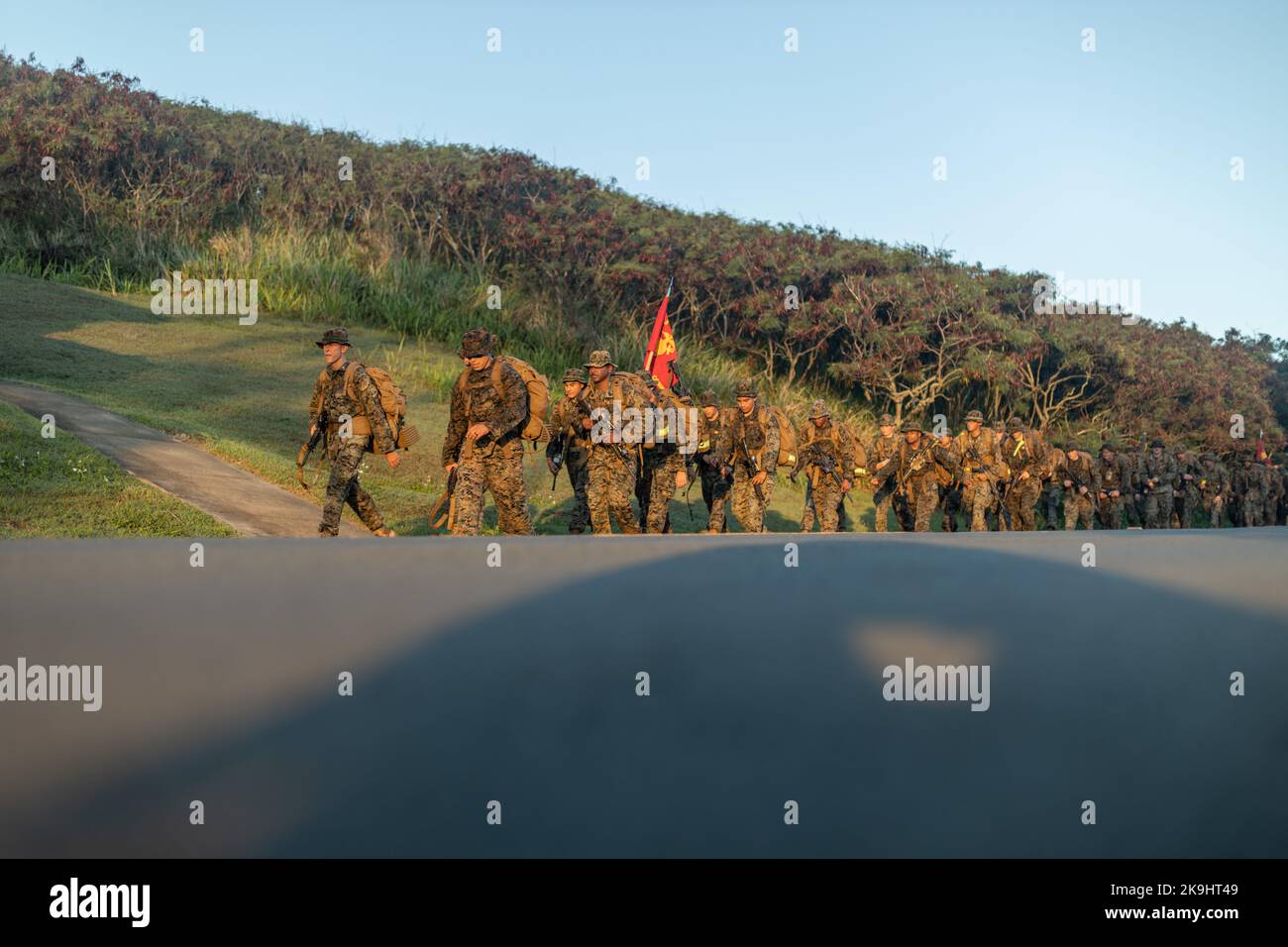 3d mlr hi-res stock photography and images - Alamy