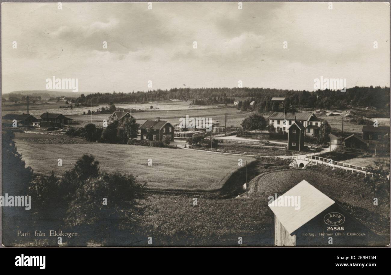 Party from Ekskogen Stock Photo - Alamy