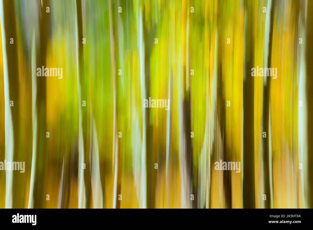 Panning photograph hi-res stock photography and images - Alamy