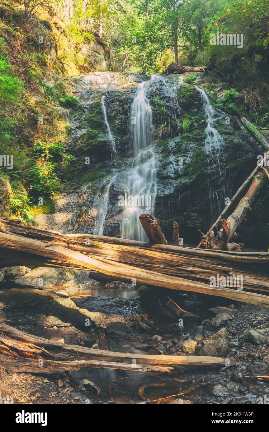 Cascade falls in moran state park hi-res stock photography and images ...