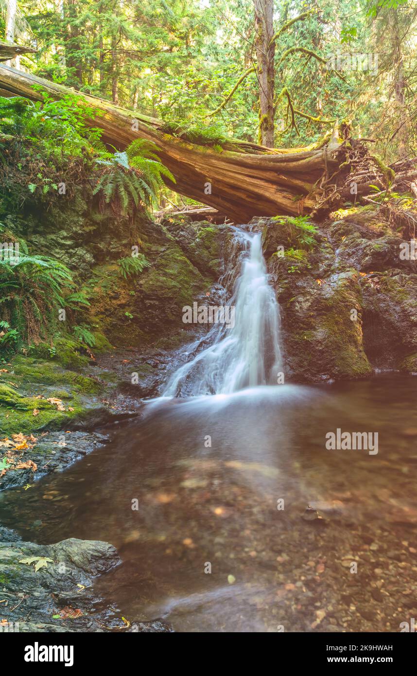 Rustic Falls in summer, Moran State Park, Orcas Island, Washington, USA ...