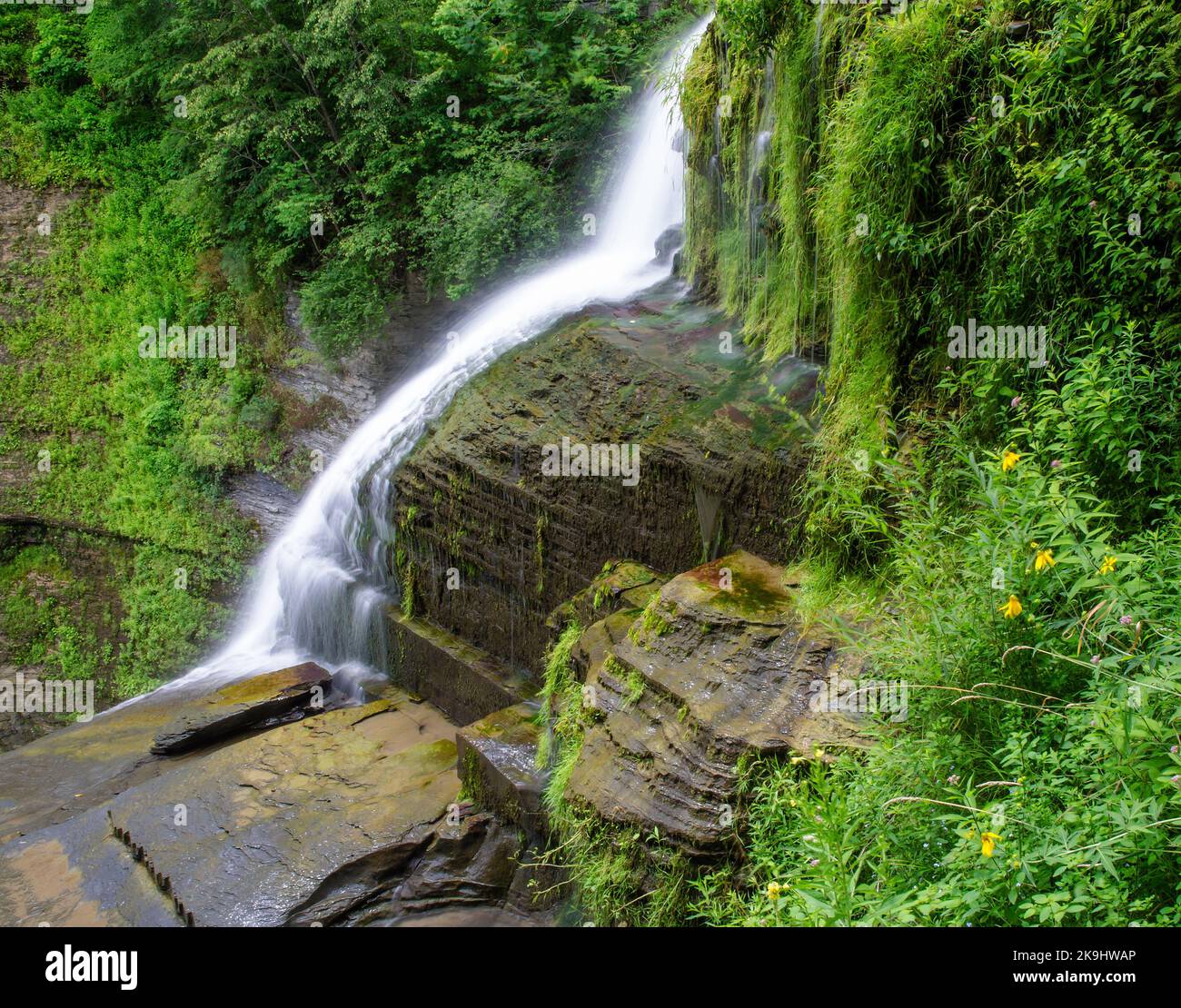 Lucifer falls flows powerfully after prolonged summer rains, Robert ...