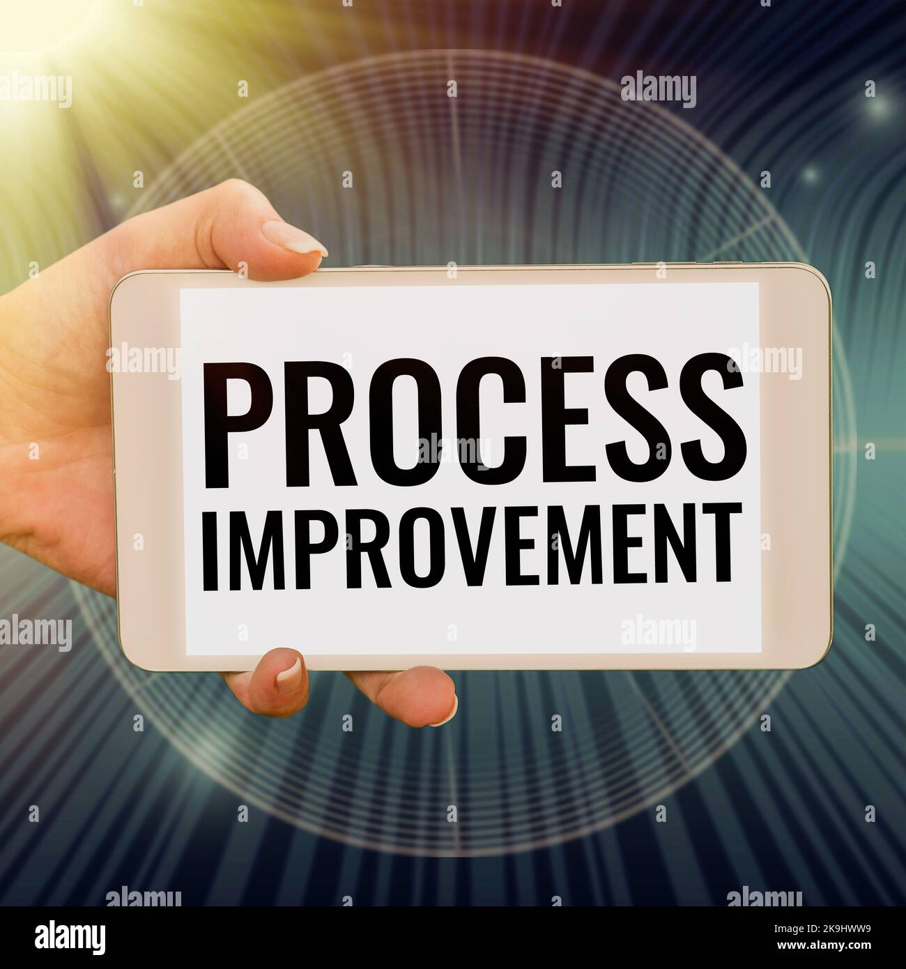 Conceptual display Process Improvement. Business overview task of ... Conceptual display Process Improvement. Business overview task of ...