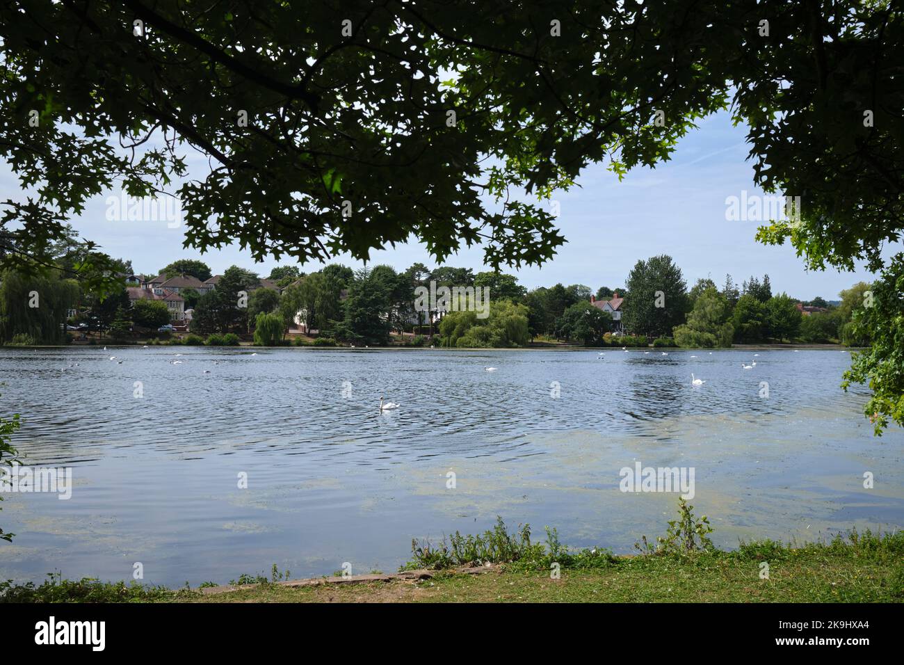 Roath Park Lake in Cardiff South Wales UK Stock Photo - Alamy