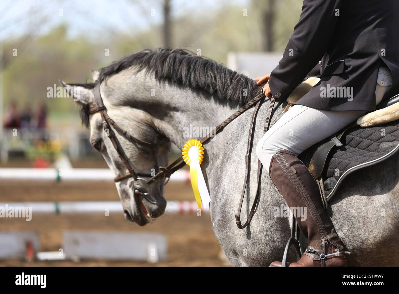 Unknown competitor ride a sport horse on equitation event at summertime ...