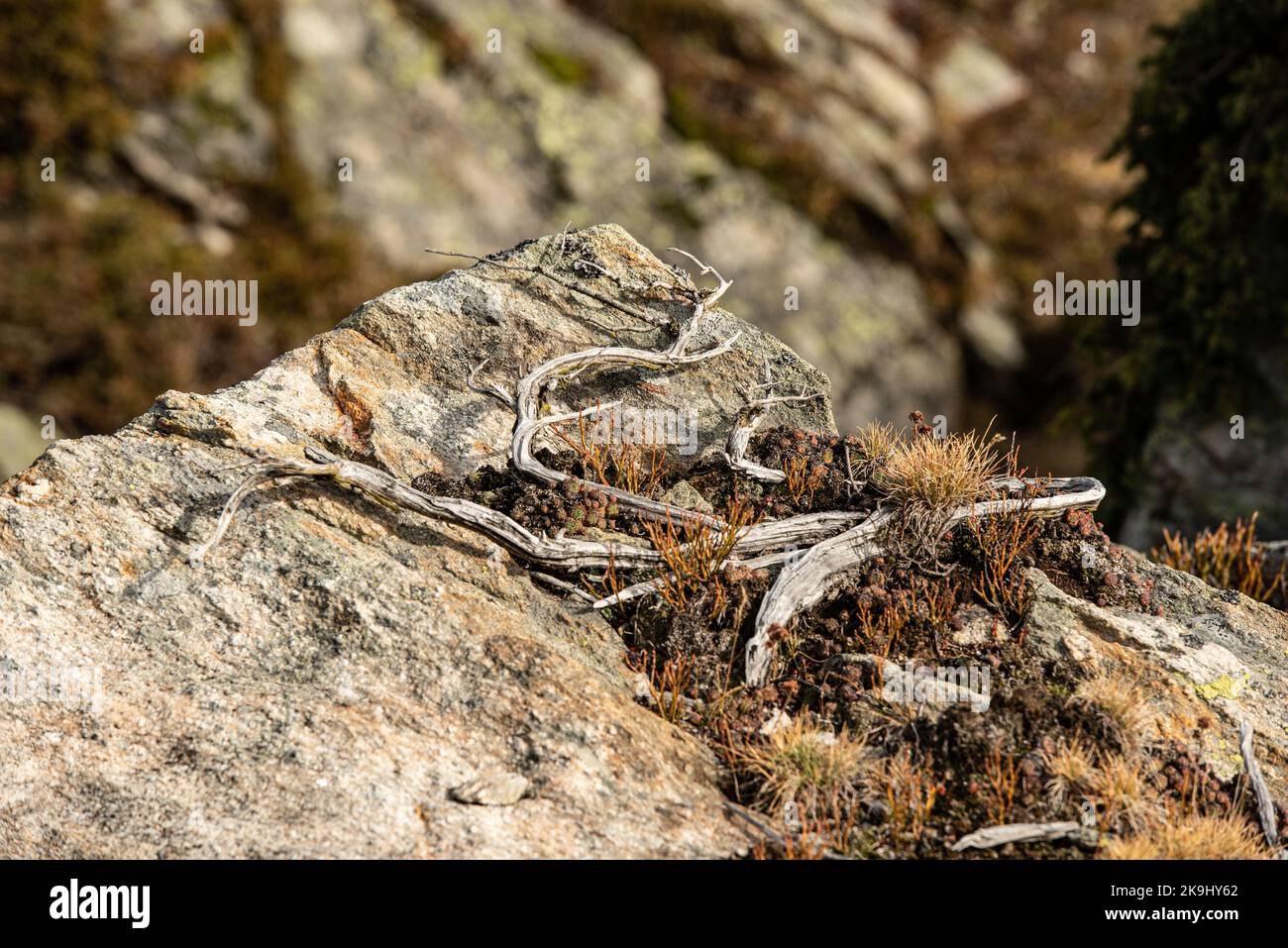 Mountain landscape aletsch wallis hi-res stock photography and images ...