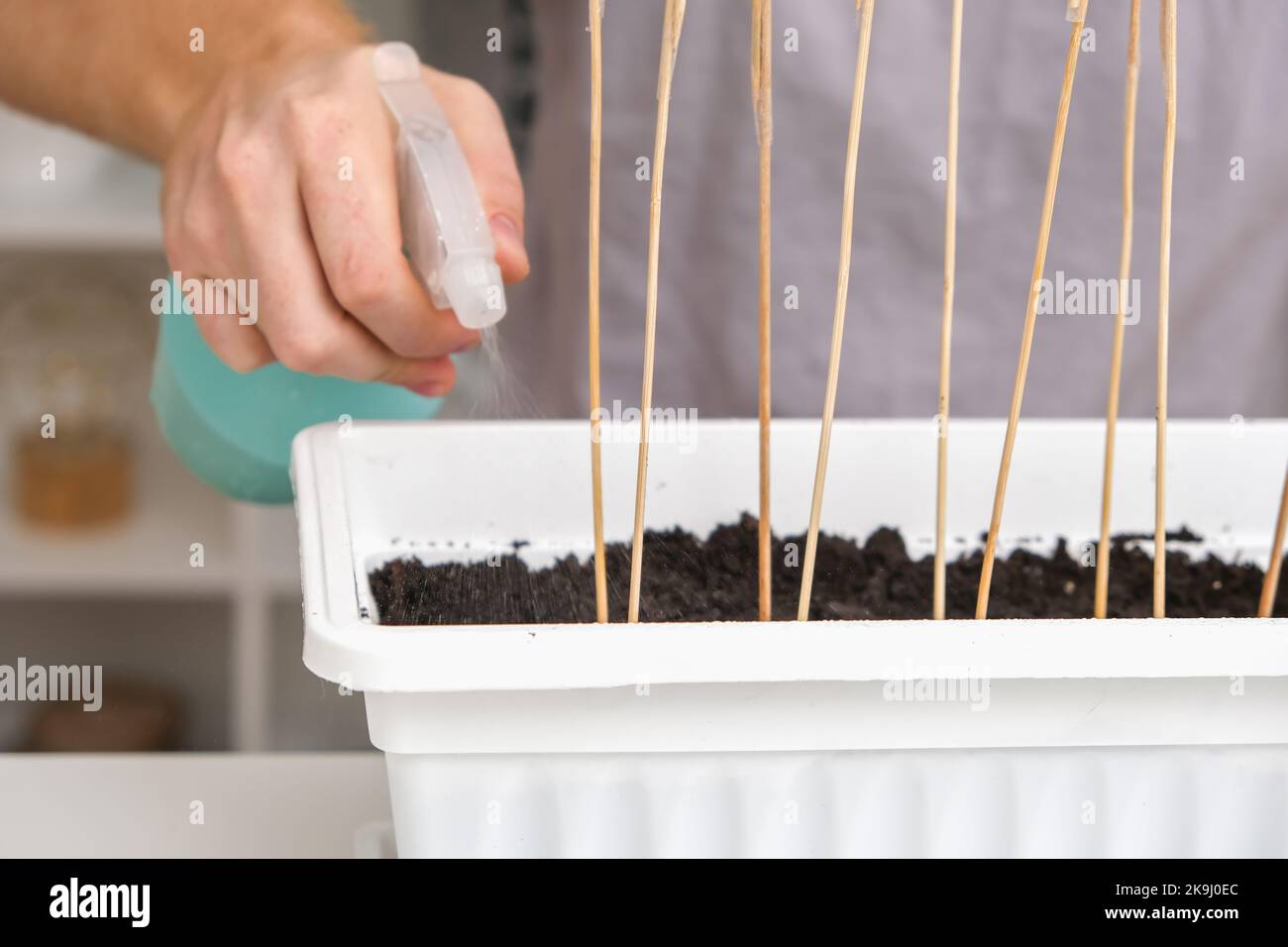 Gardener sprays soil planting hi-res stock photography and images - Alamy