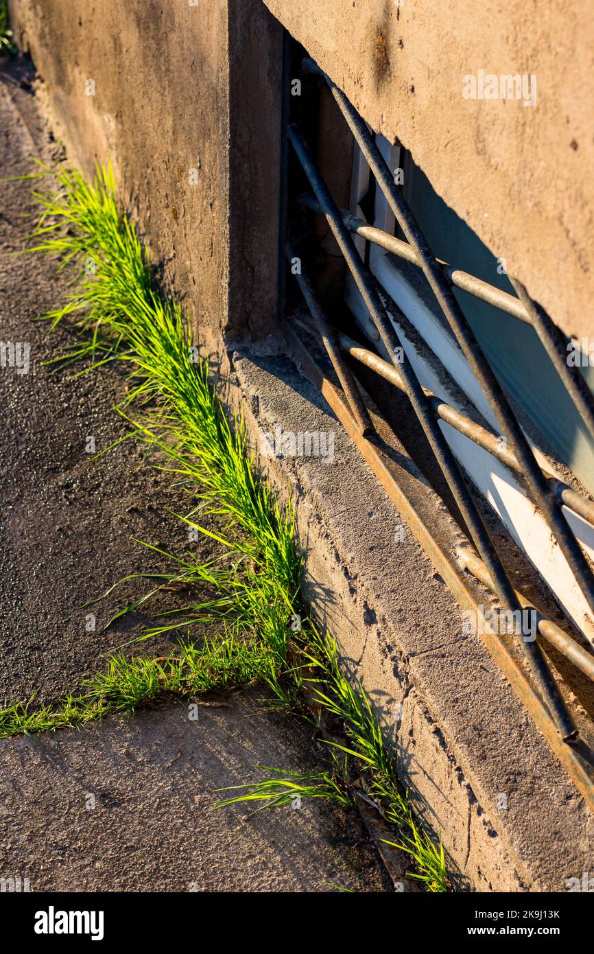 Fragment of the basement floor of a building with a small window closed ...