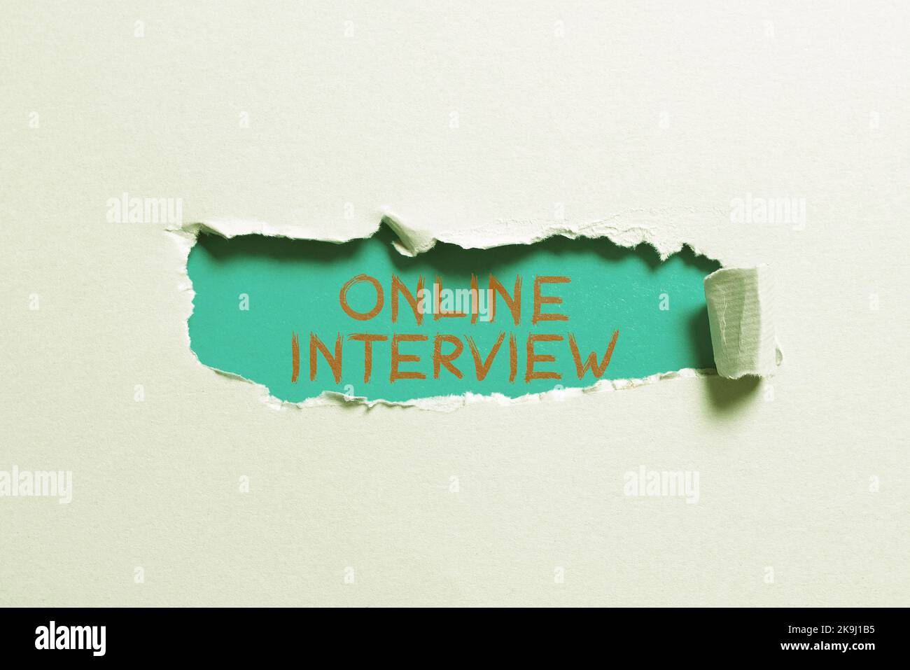 Text showing inspiration Online Interview. Business idea delivery of ...