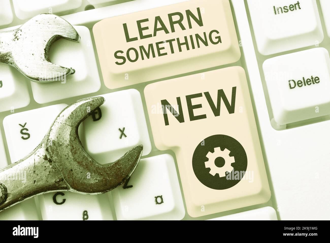 Text showing inspiration Learn Something New. Business approach Gain ...