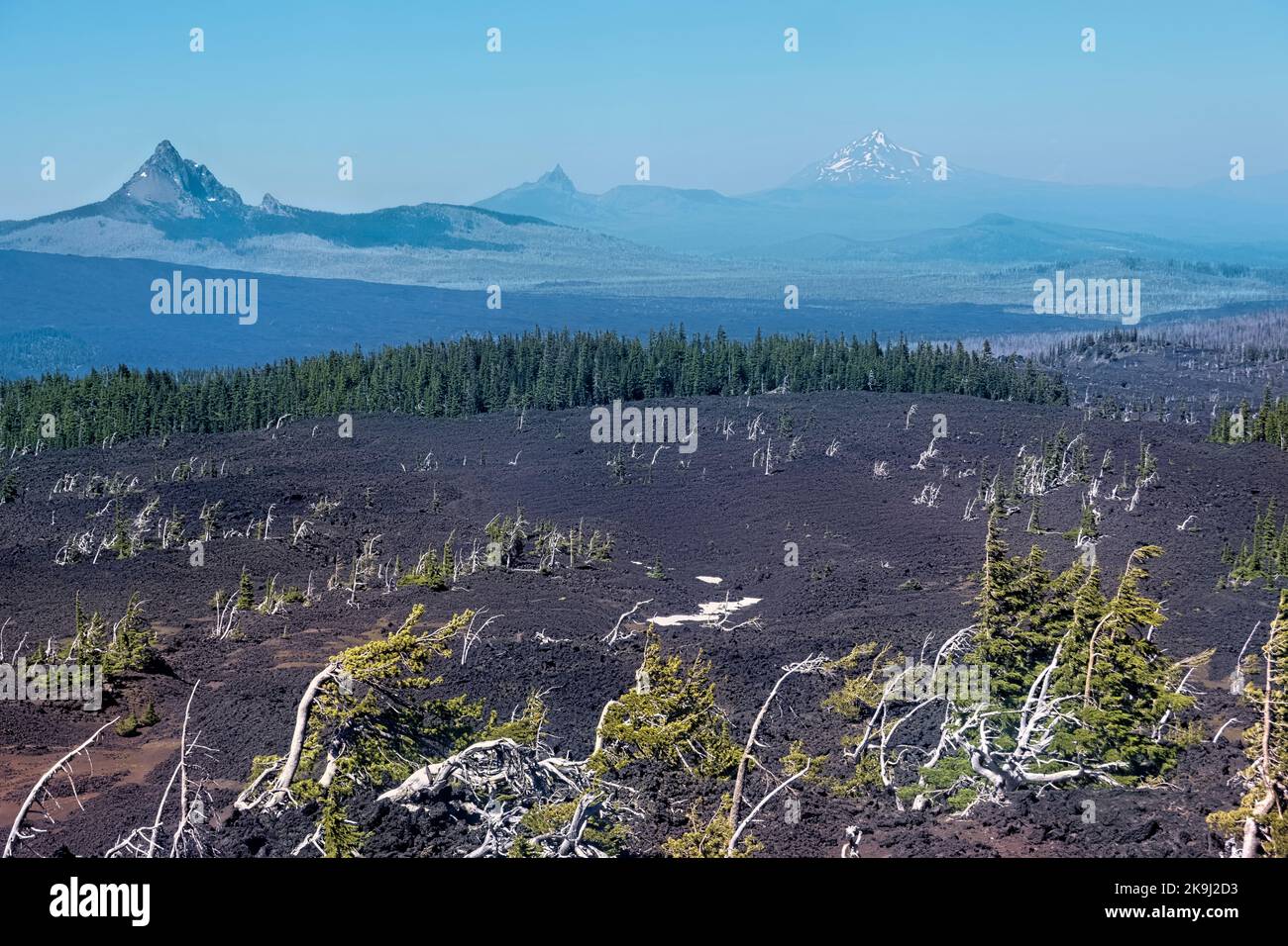 Mount Jefferson, Washington, and Three Fingered Jack above lava fields ...