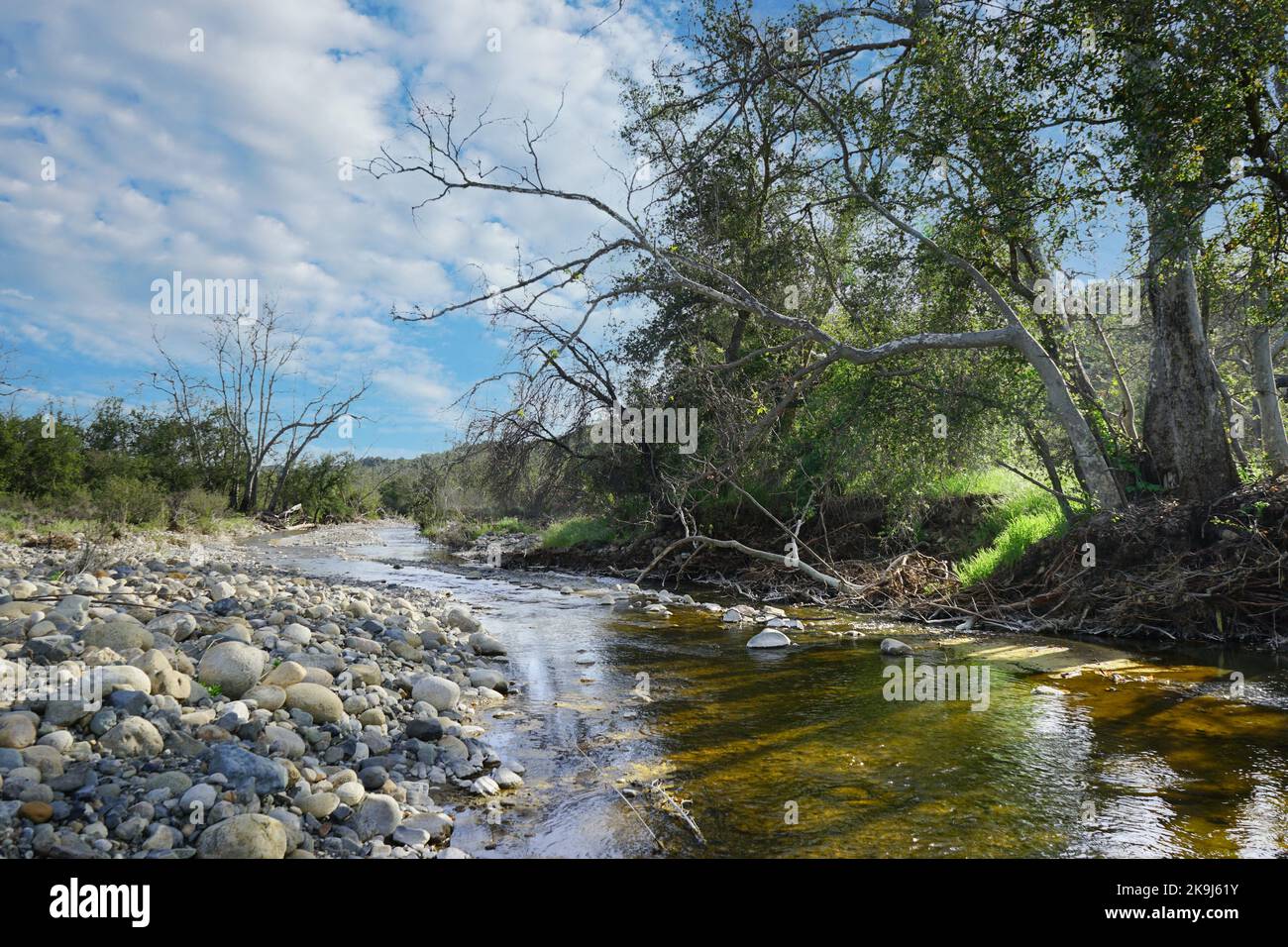 The San Juan Creek in Caspers Wilderness Park in southern California ...