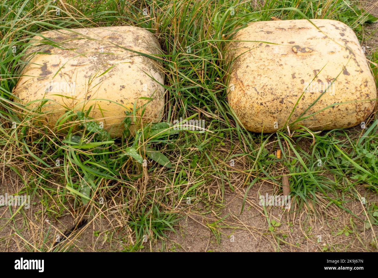 21. two cast irons painted yellow Stock Photo - Alamy