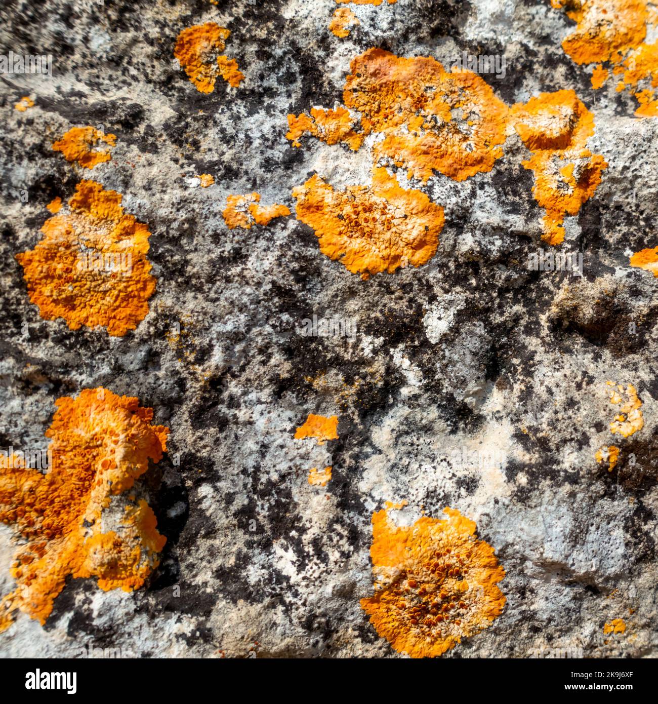 9. Orange sediments on granite rock Stock Photo - Alamy