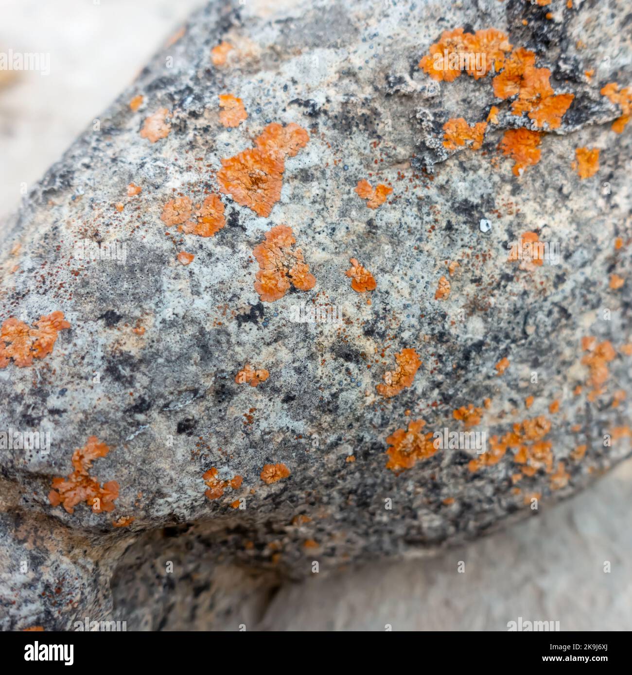 11. Orange sediments on granite rock part two Stock Photo - Alamy