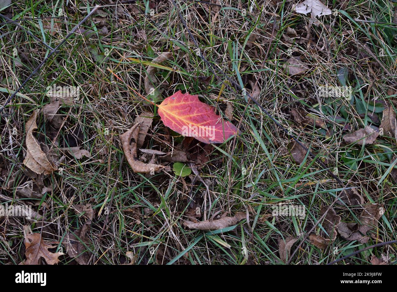 Colors in art hi-res stock photography and images - Alamy