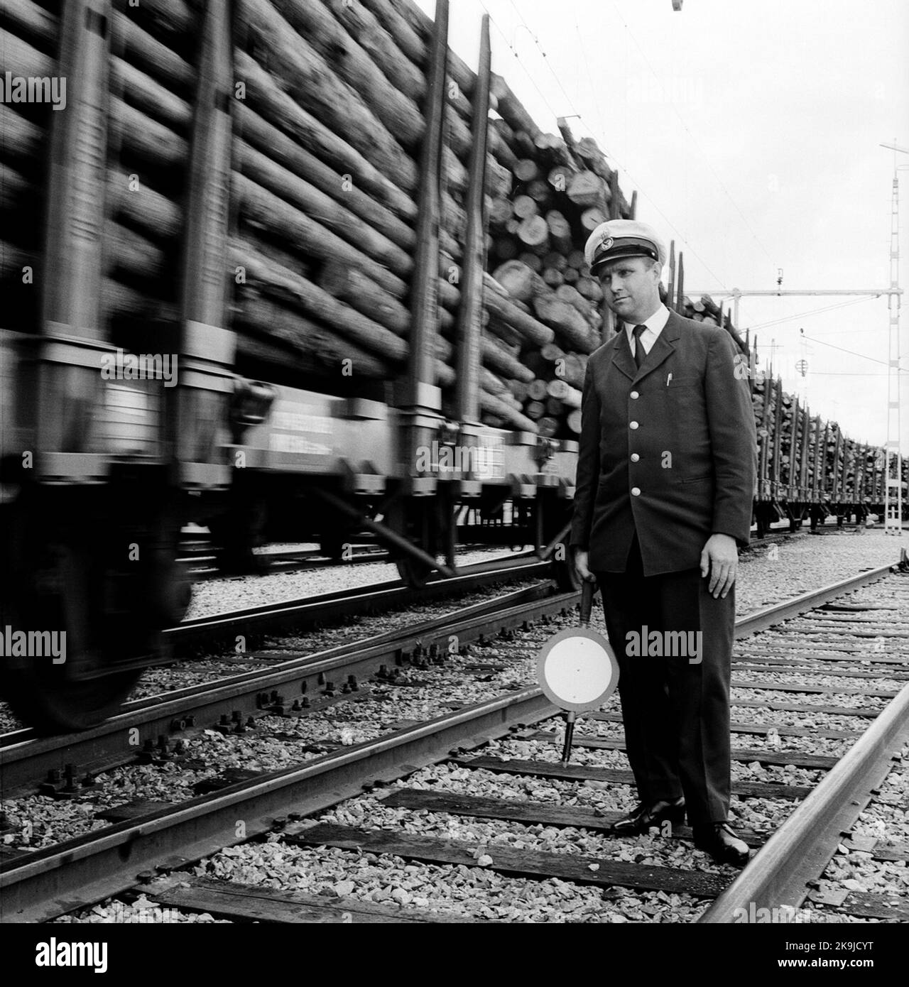 Transport of pulpwood. SCA, Töva terminal Stock Photo - Alamy