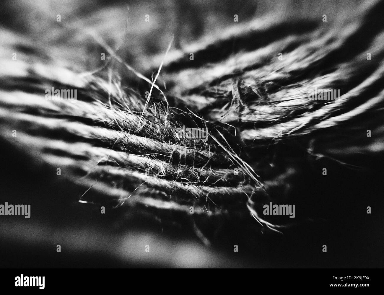 Black and white rope close up hi-res stock photography and images - Alamy
